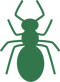 Pest Control Services | Senske