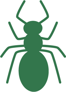 Senske Lawn Care Services | Tree Care | Pest Control Services