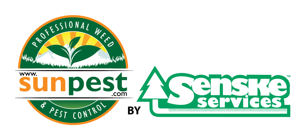 Sun Pest is Now Senske | Senske Services