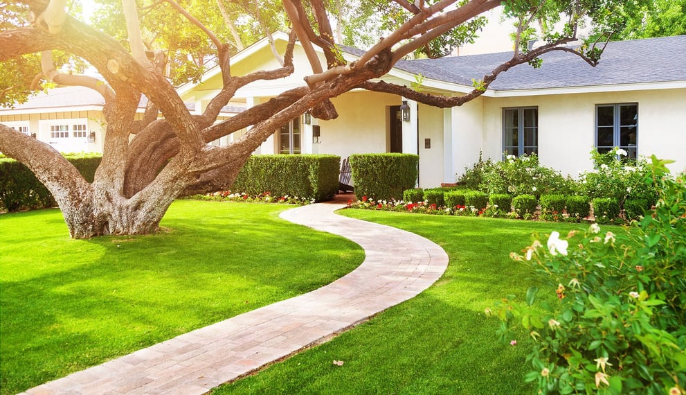 Senske Lawn Care Services | Tree Care | Pest Control Services