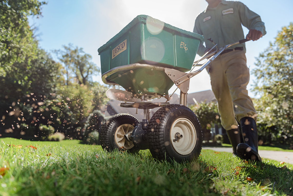 Lawn Aeration and Overseeding: The Essential Guide