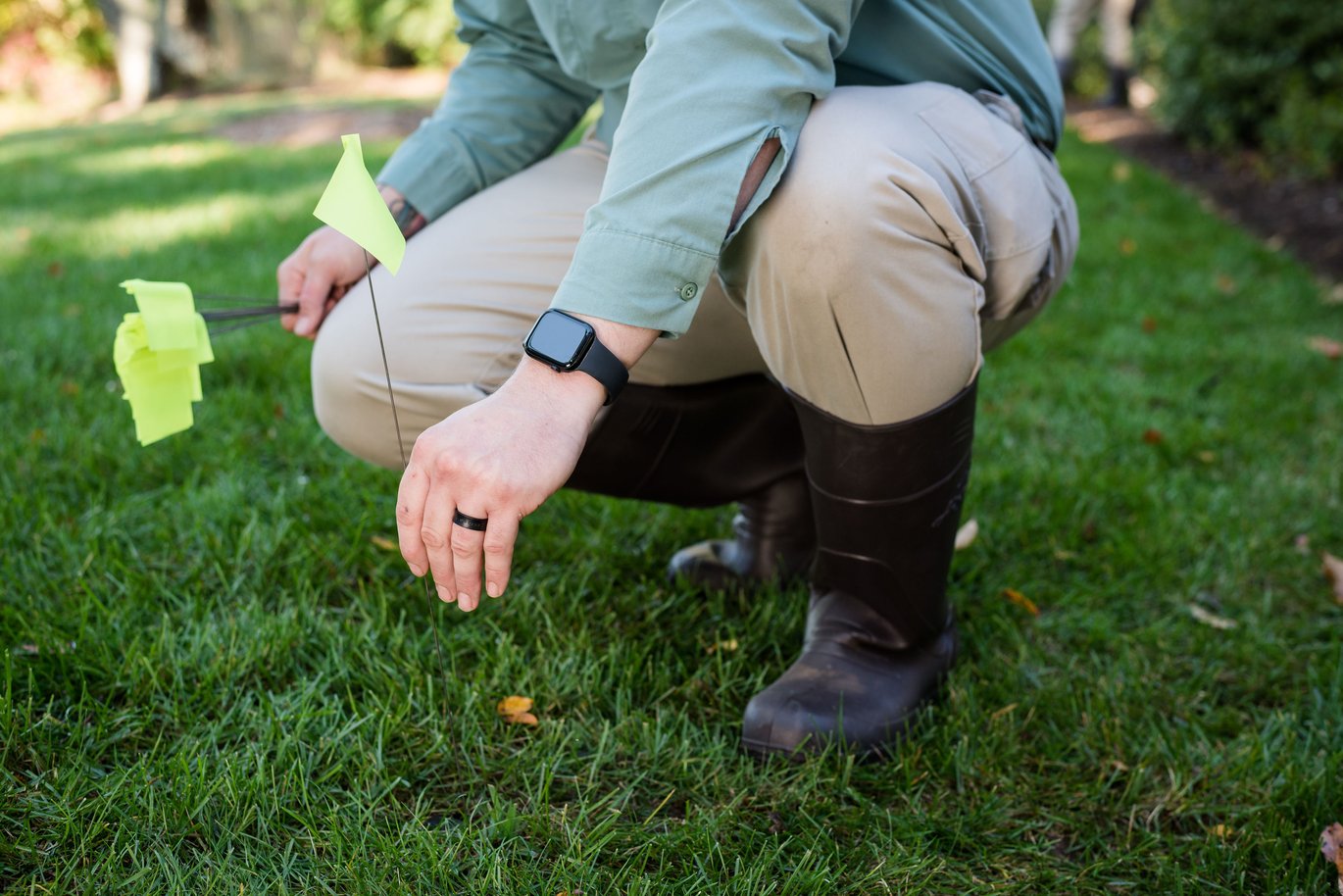 How Do You Get Rid of Moles in Your Yard?