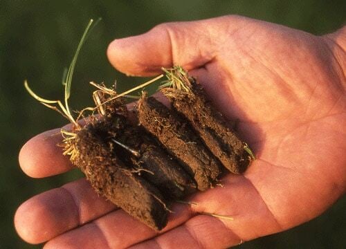 Lawn Aeration Services | Senske
