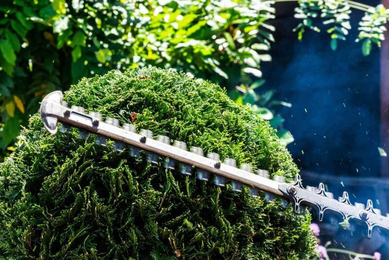 Lawn Care Services | Senske