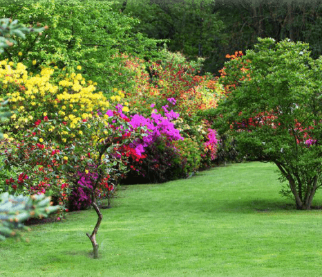 Lawn Care Services | Senske