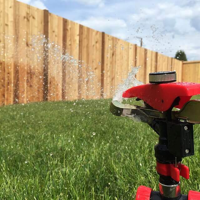 Expert Lawn Watering Tips