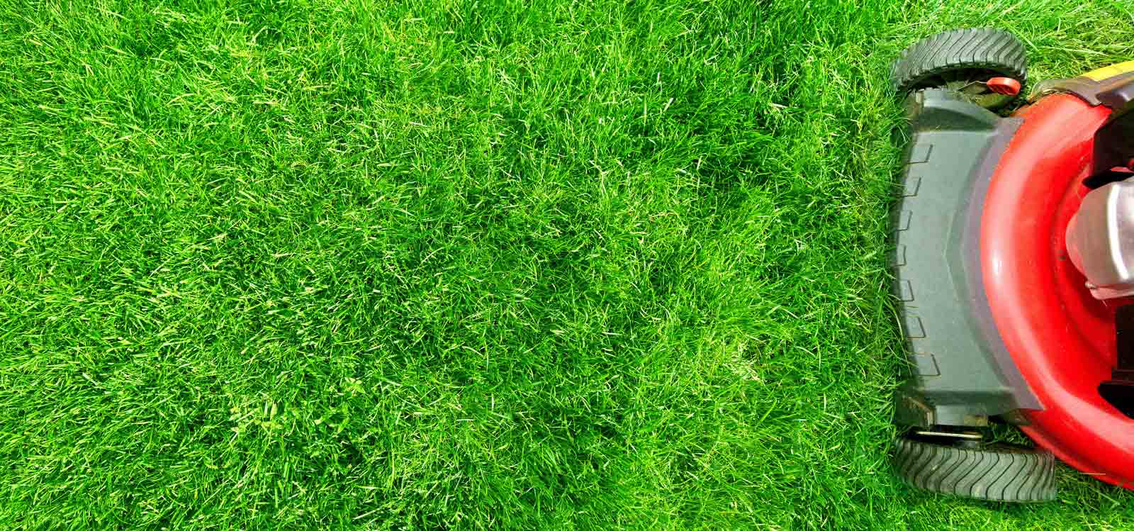 Lawn Mowing Tips