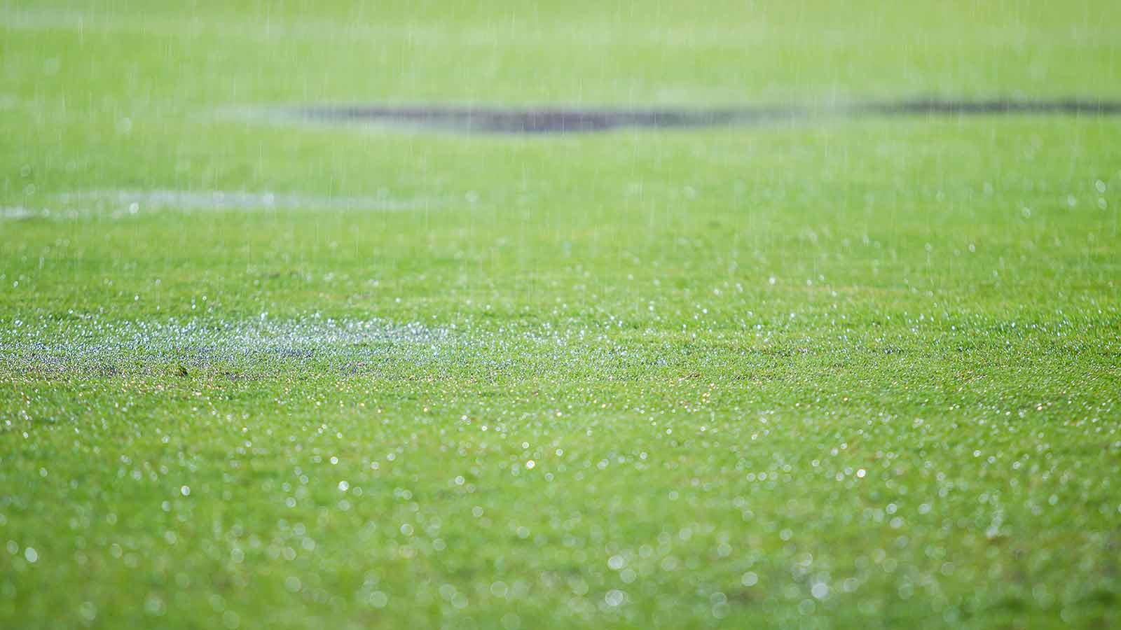 How To Spot and Avoid An Overwatered Lawn