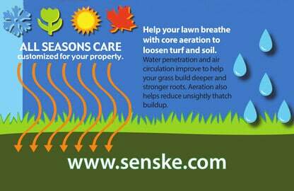 Introduction: Why Your Lawn Care Must Change with the Seasons