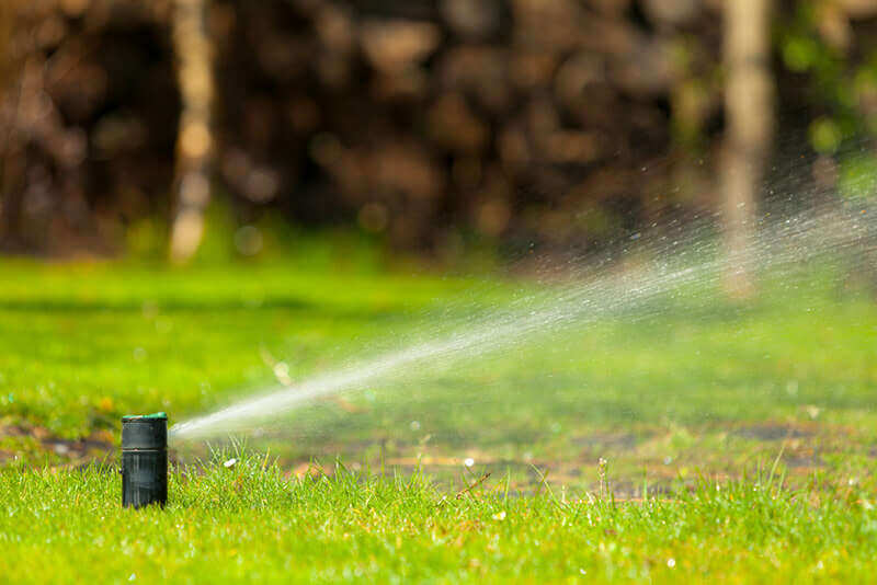 Senske Services Releases It's Spring and Summer Watering Tips