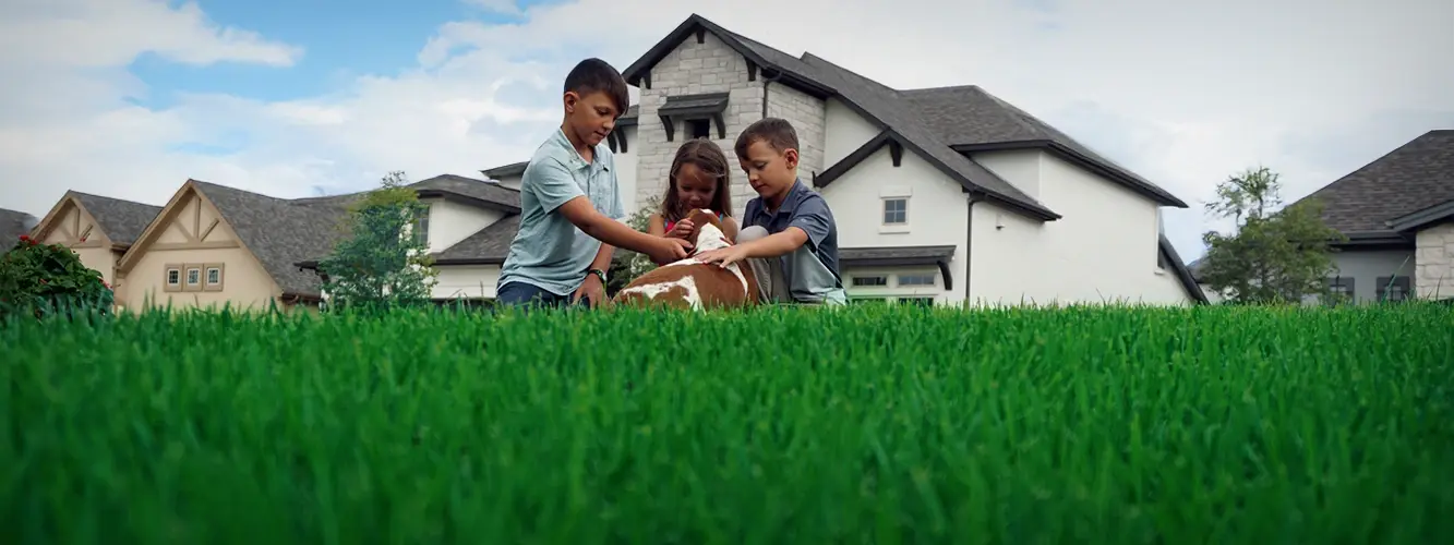 Lawn Pest Control: Protect Your Yard From Pests in Every Season